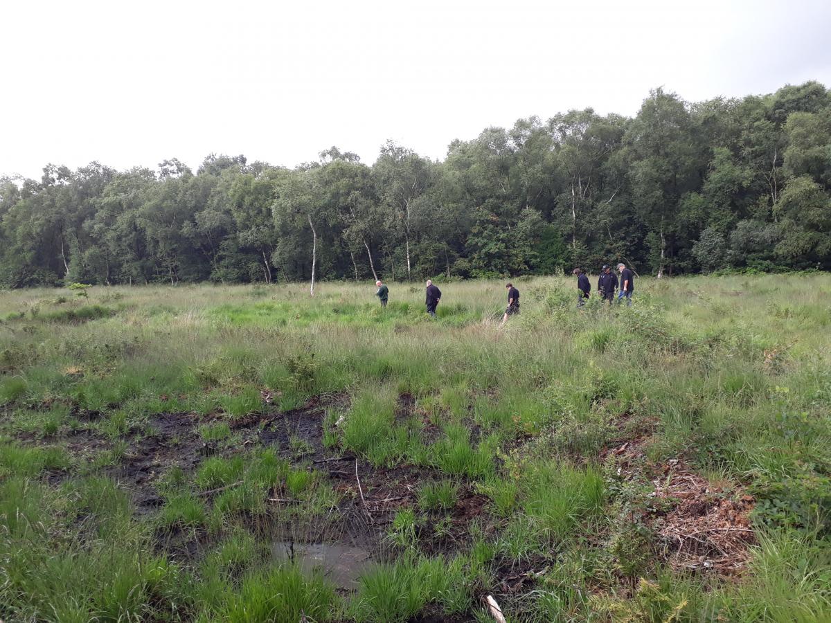 Lesson 3 - Nature Rescue | Carbon Landscapes